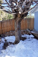 Cabine, 2 quartos | Vista para o jardim