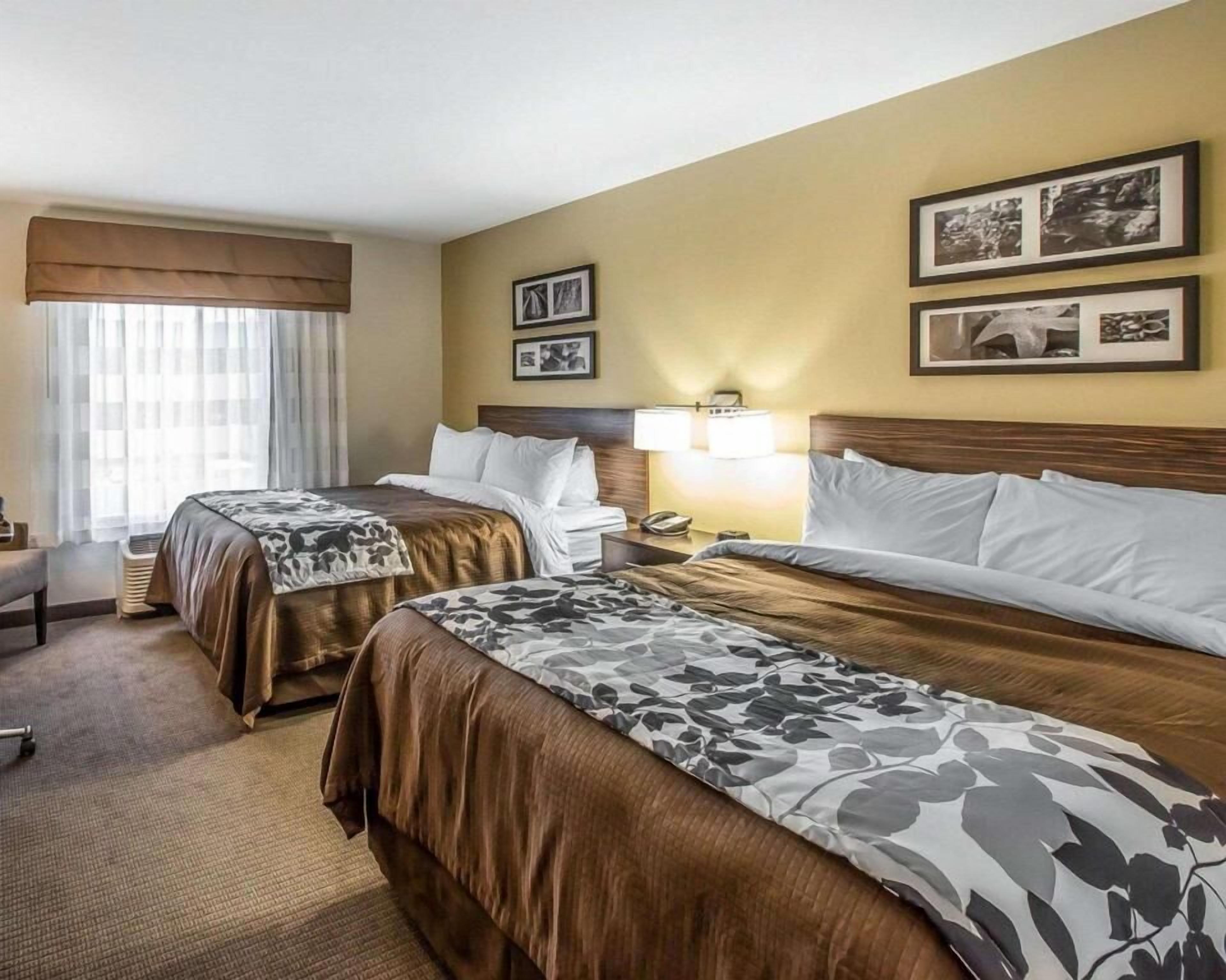 Roupa de alta qualidade, secretária, cortinas/cortinados opacos 