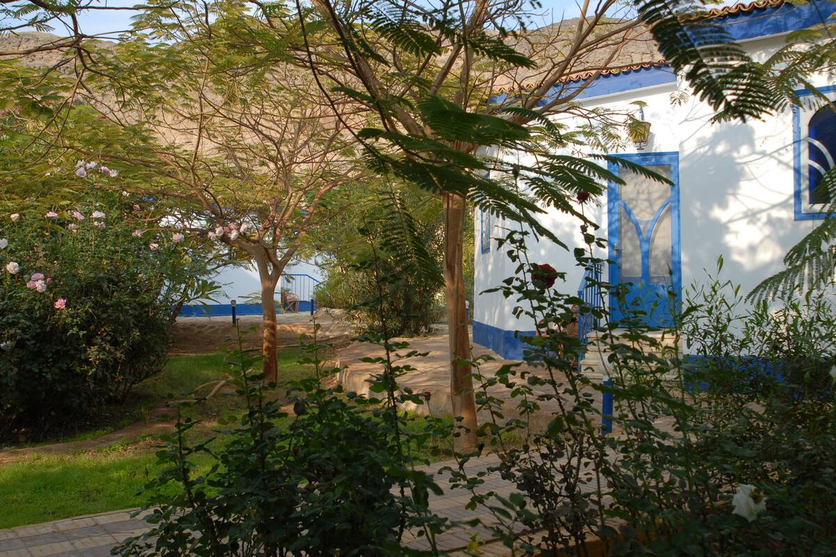 Um pátio com um edifício branco com detalhes em azul, rodeado por vegetação exuberante e plantas floridas.
