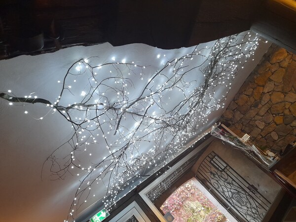 Hôtel Berceau Du Vigneron - Turckheim