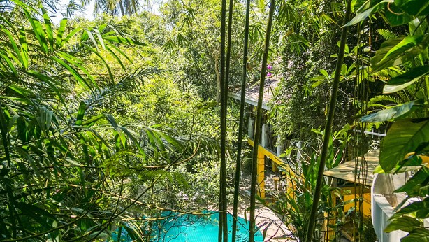 Piscina cercada por vegetação exuberante e bambu.