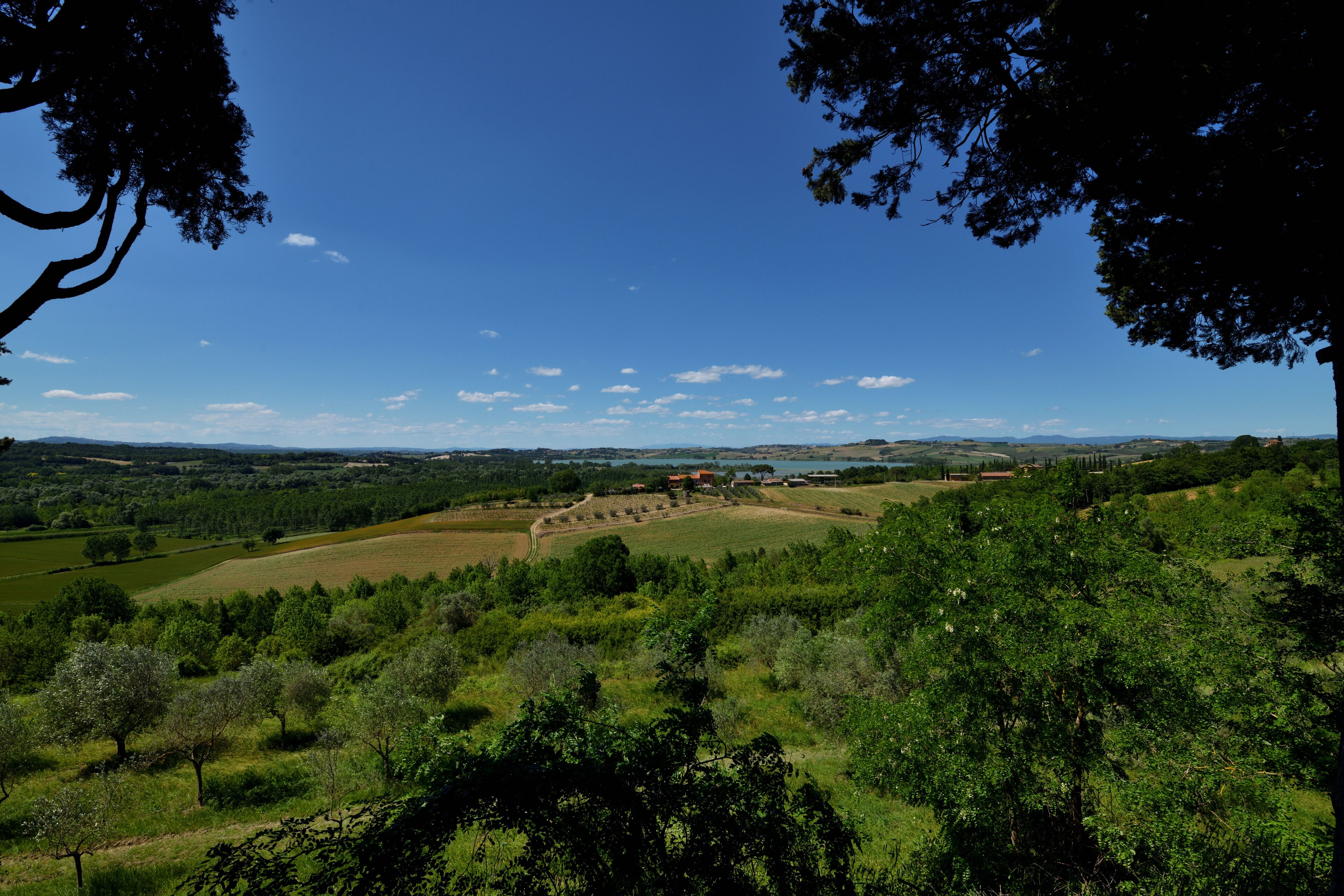 Vista panorâmica de uma paisagem rural com colinas ondulantes, céu azul límpido e árvores esparsas.