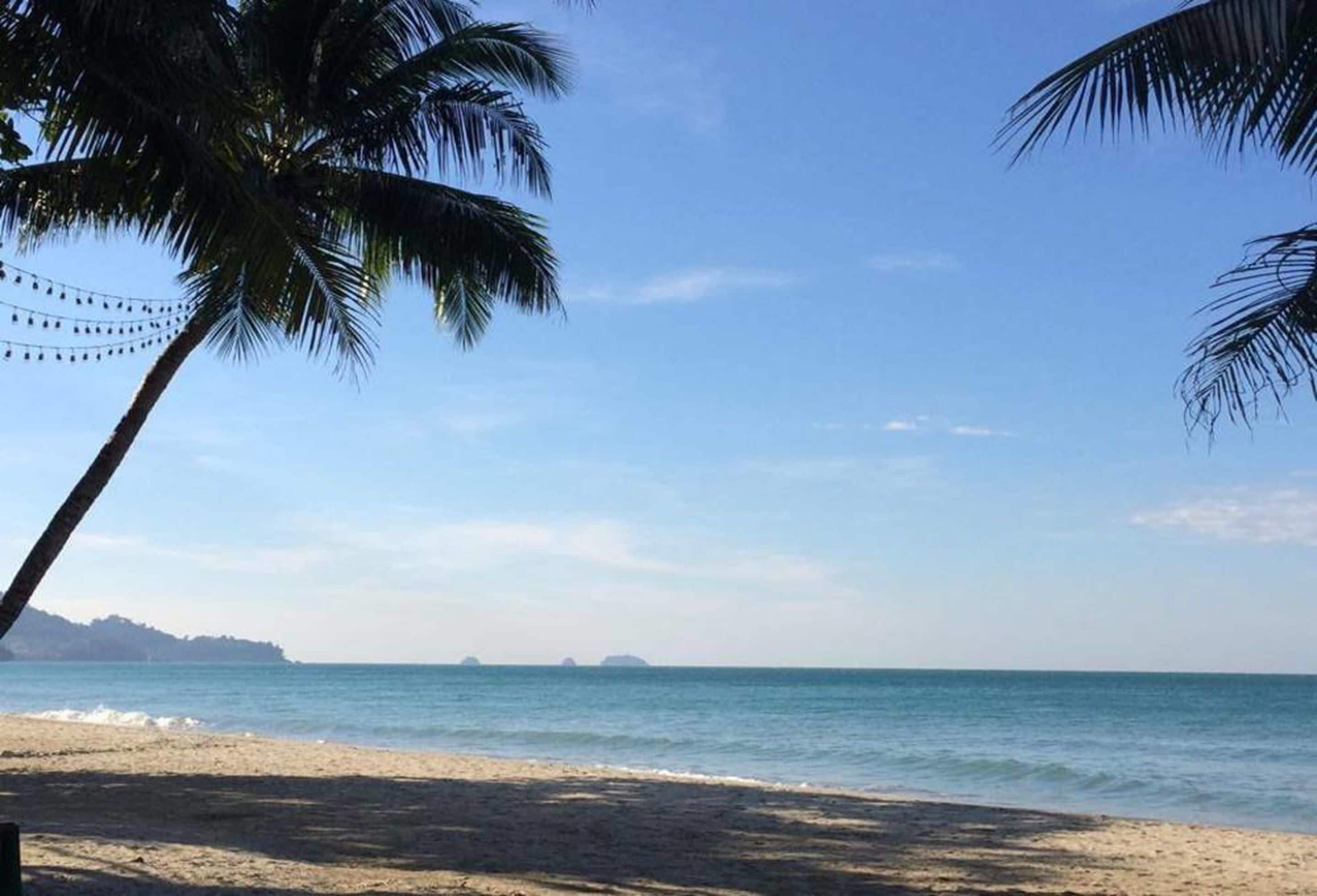 Uma praia com palmeira e luzinhas, céu claro e mar calmo.