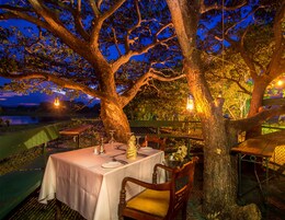 Pequenos-almoços, almoços, jantares servidos, com vista para o jardim 