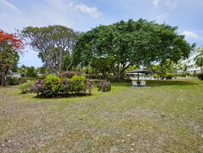 Jardim