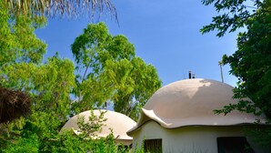 Um edifício em forma de cúpula, rodeado por vegetação exuberante e árvores.