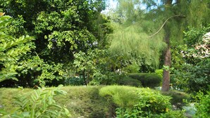 Um caminho no jardim cercado por vegetação exuberante e diversas plantas.