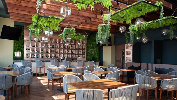 Um restaurante com mesas e cadeiras de madeira, um espaço de bar com prateleiras de garrafas e plantas penduradas.