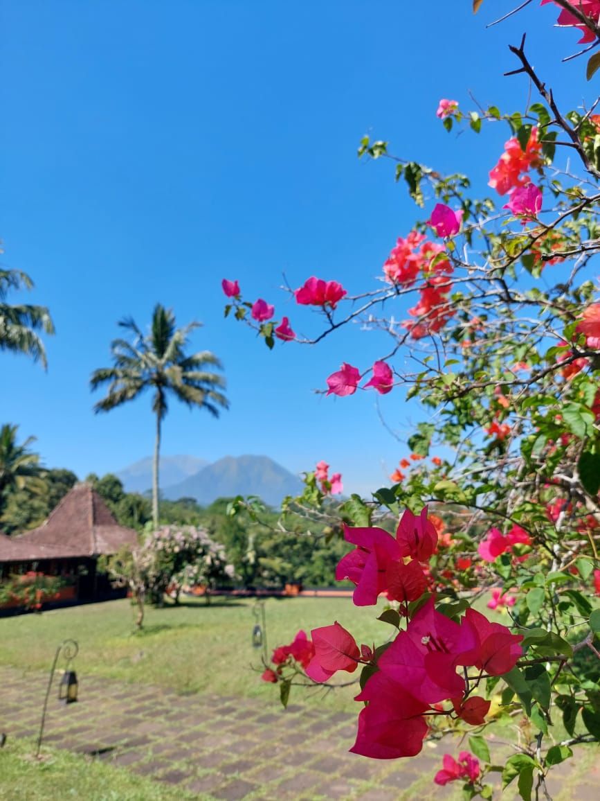 Paisagem tropical com céu claro, construção de palha e montanha ao fundo.
