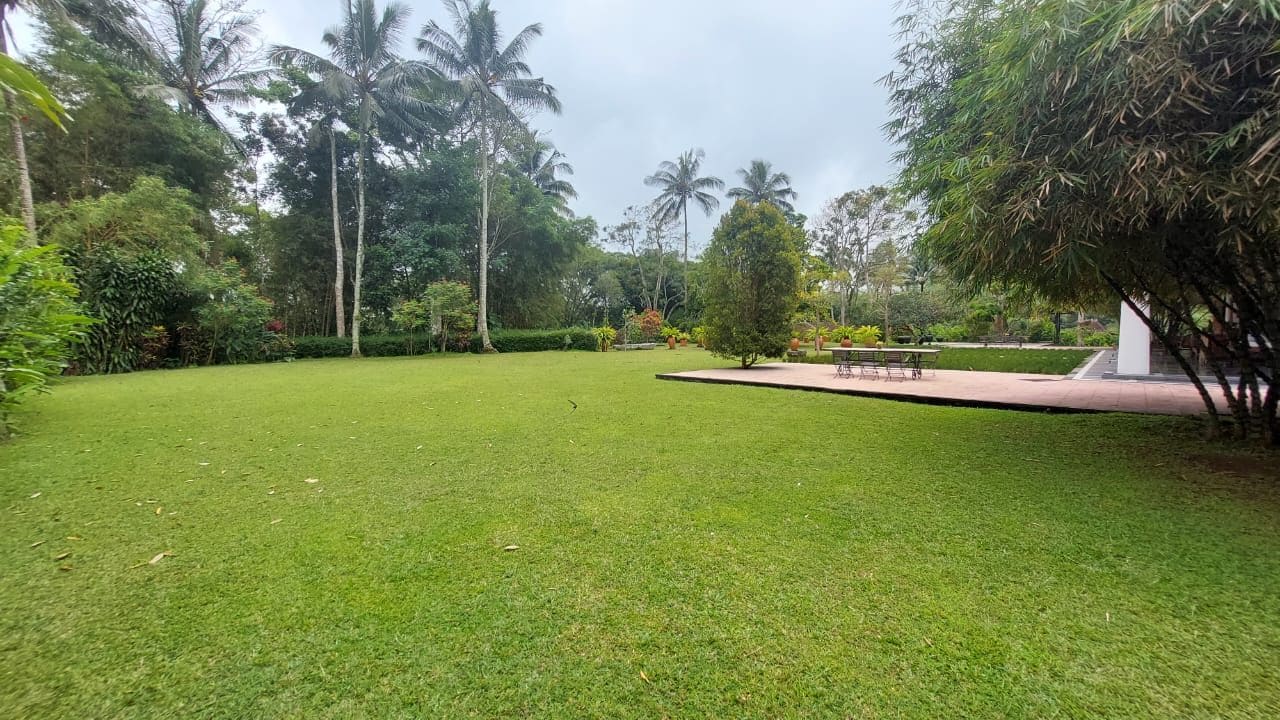 Um gramado verde exuberante com palmeiras e uma área pavimentada com bancos.