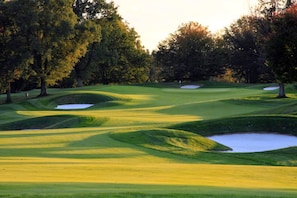 Golfe
