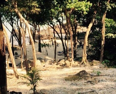 Shari-La Island Resort