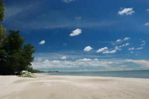 Uma praia com céu claro, areal arenoso e árvores.