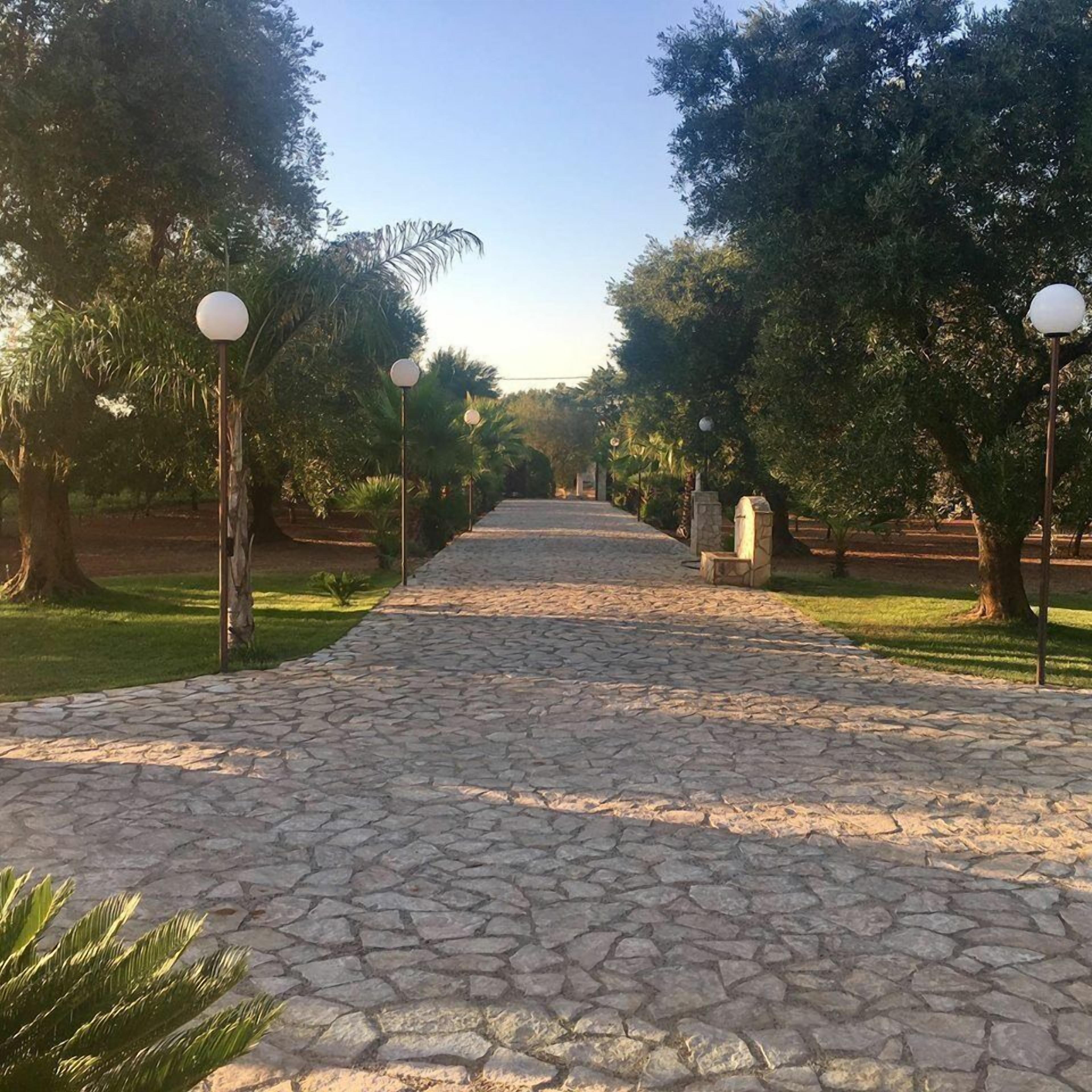 Uma trilha pavimentada ladeada por árvores e postes de luz, conduzindo a uma construção distante.