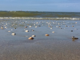 Perto da praia