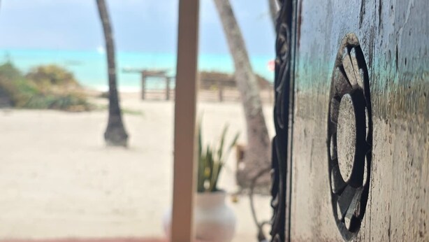 Uma porta de madeira com puxador circular, que dá para uma vista de praia com palmeiras e areal.