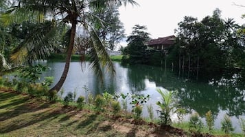 Apartamento Comfort, vista para o lago | Vista para o lago