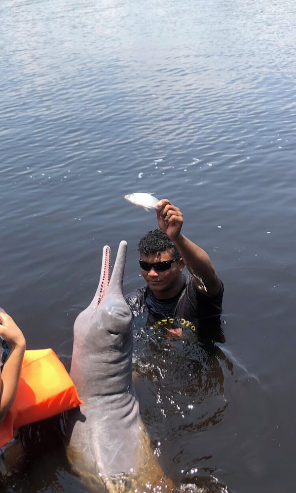 Curupira Amazon Lodge - State of Amazonas