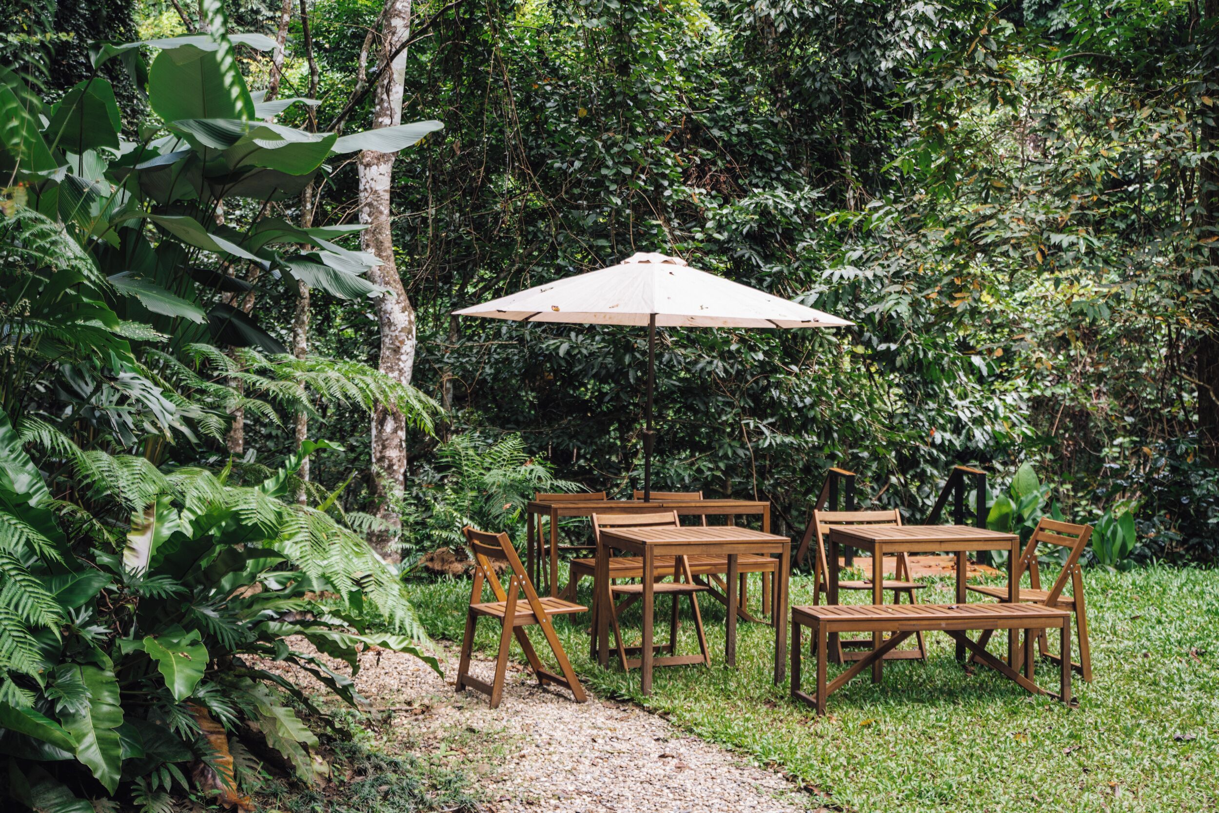 Conjunto de mesa e cadeiras de madeira num jardim, com um grande guarda-sol.