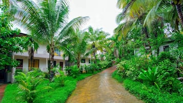 Jardim