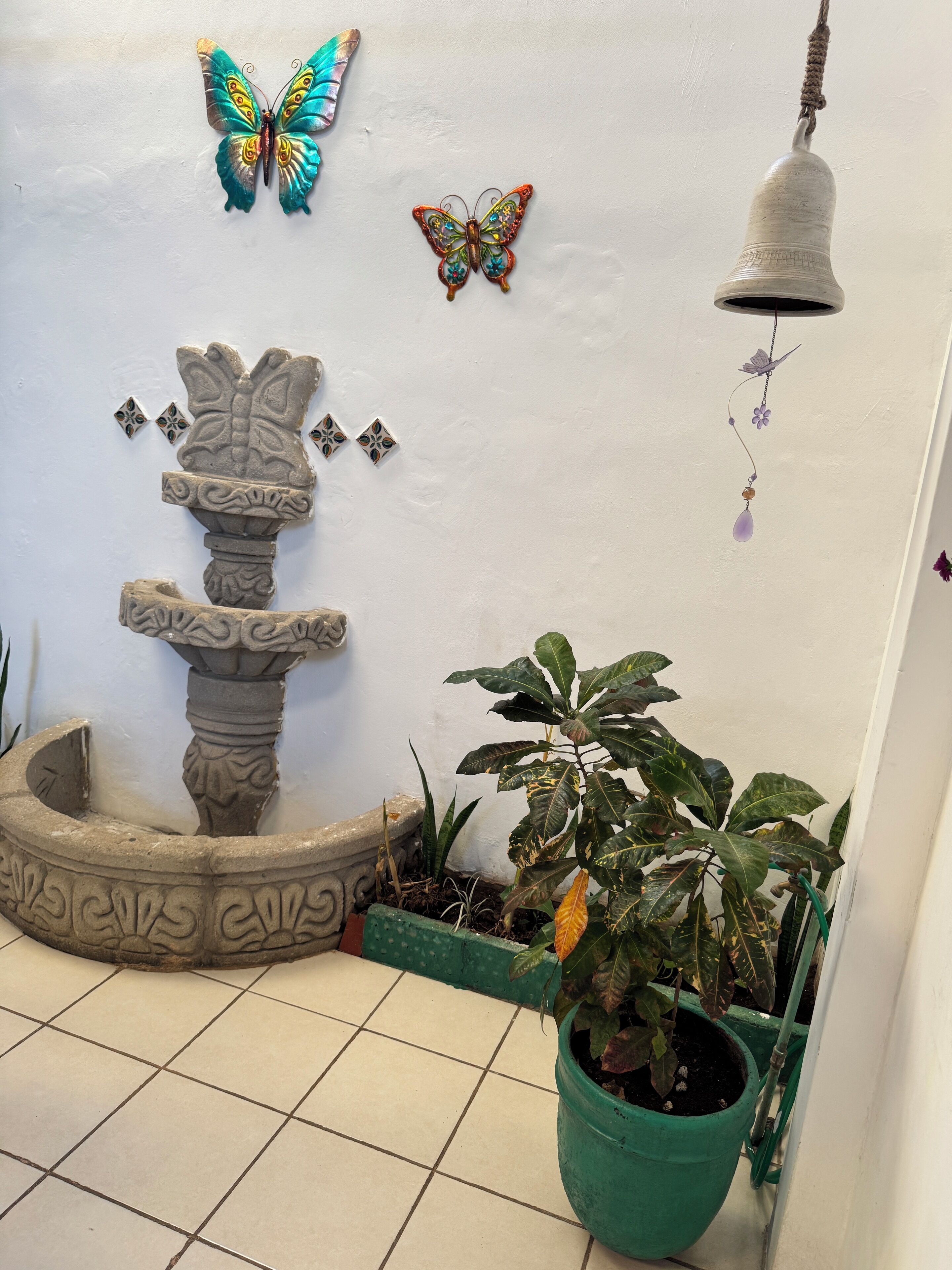 Uma fonte com base decorativa, um vaso de planta e decorações de borboleta na parede.