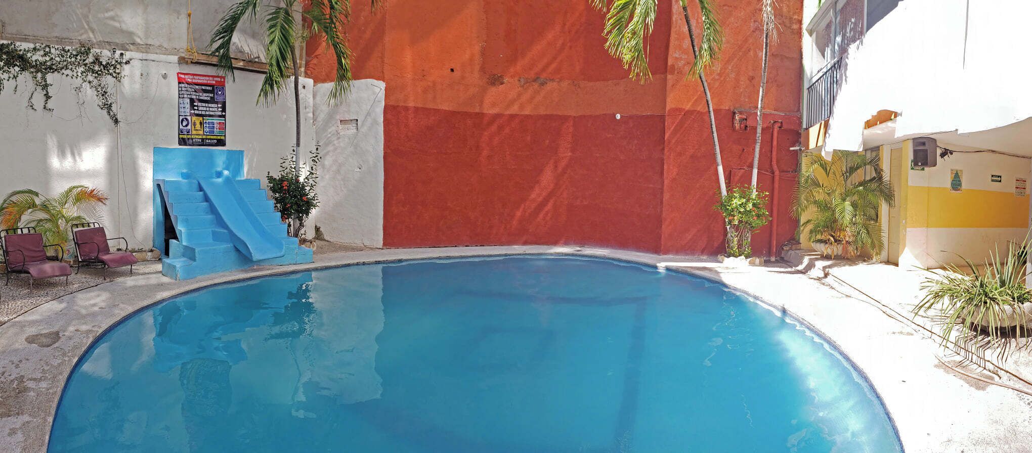 Piscina com borda azul, cercada por plantas e um muro vermelho.