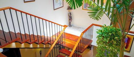 Uma escada de madeira com corrimão, um prateleira na parede com uma planta, e um vaso grande com planta em primeiro plano.