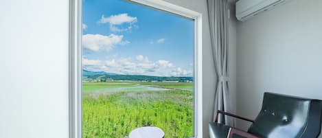 Ferro/tábua de engomar, Wi-fi grátis