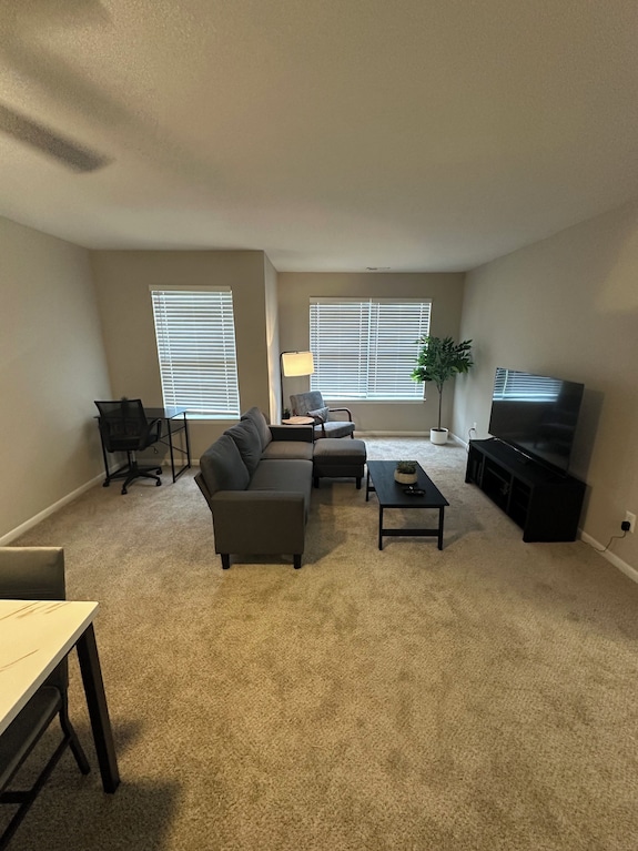 Relax & Work In This Cozy 1 Br Apt - Durham, NC