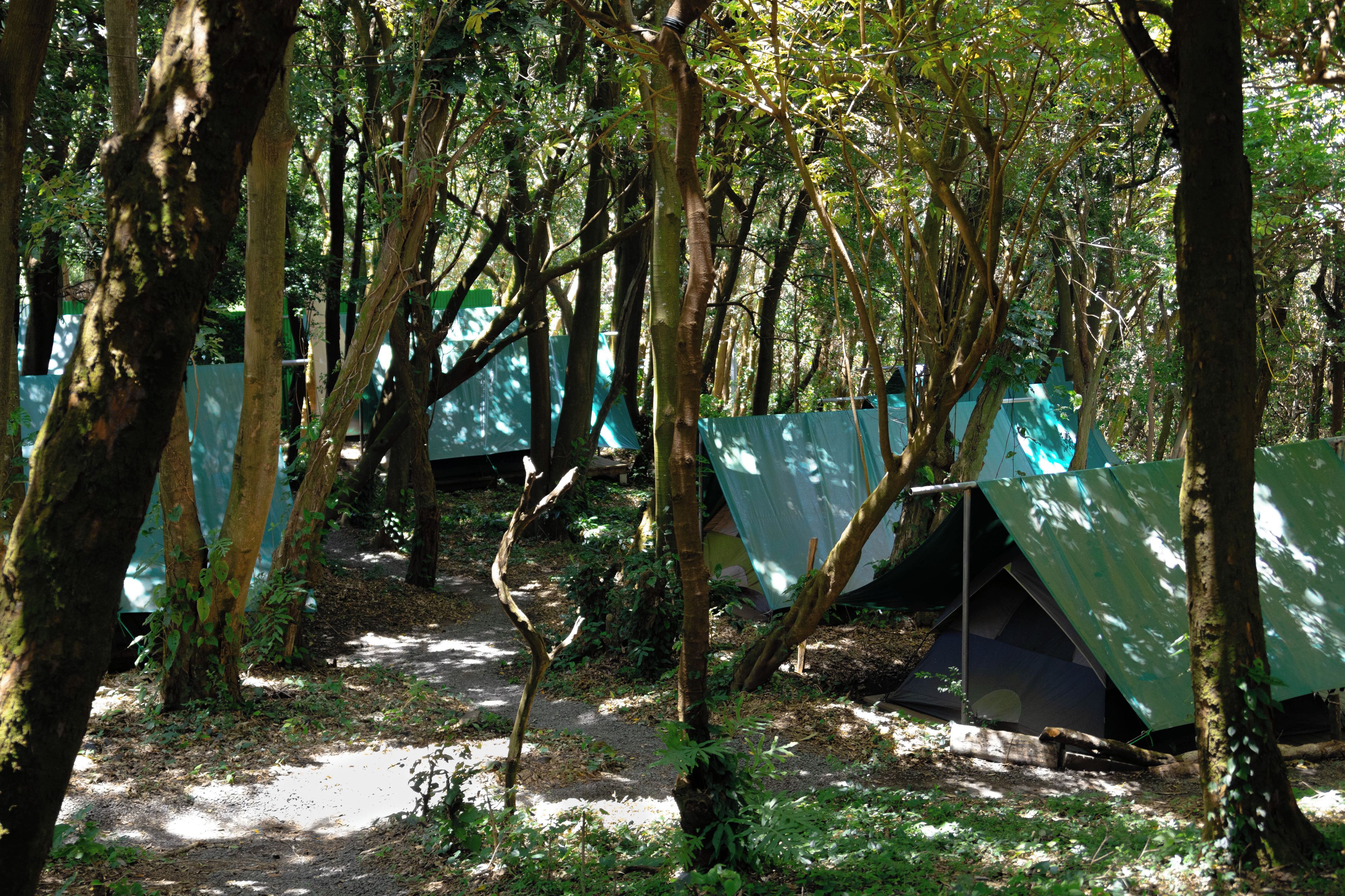 Acampamento em área arborizada com várias tendas e uma trilha de terra.