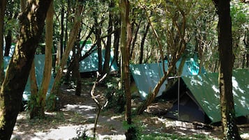 Acampamento em área arborizada com várias tendas e uma trilha de terra.