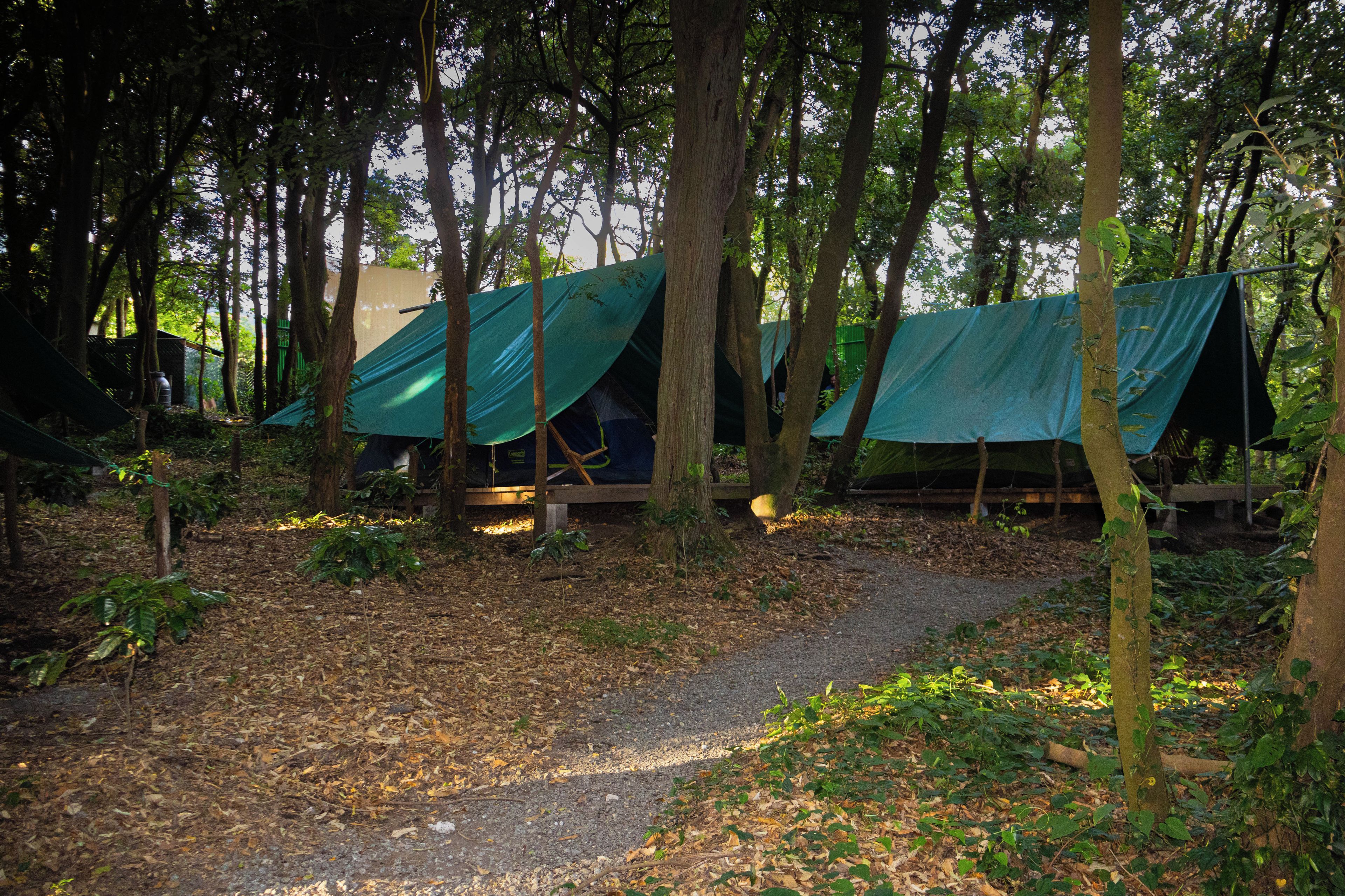 Um camping com várias barracas montadas entre árvores, uma trilha de cascalho percorrendo o camping e um banco sob uma árvore.