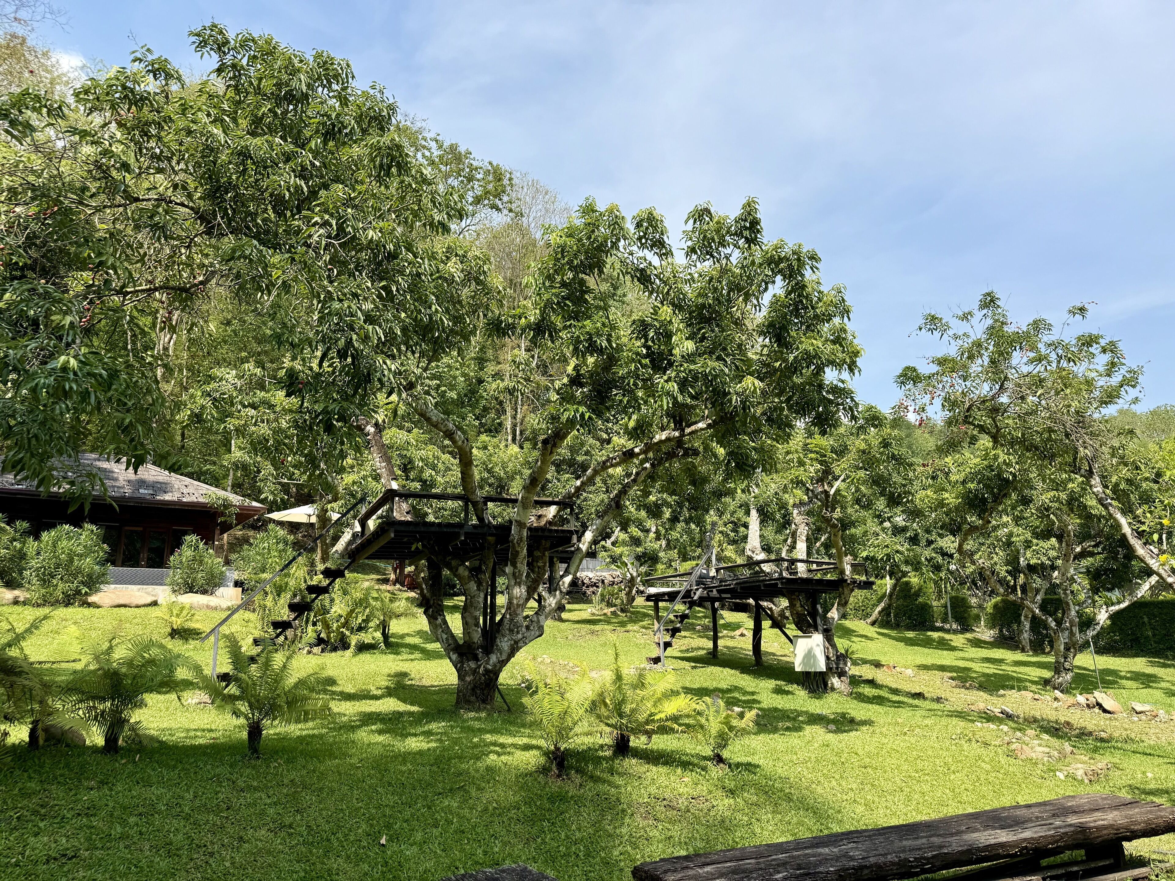 Um jardim exuberante com um gazebo de madeira, um edifício com telhado de palha e diversas árvores e arbustos.