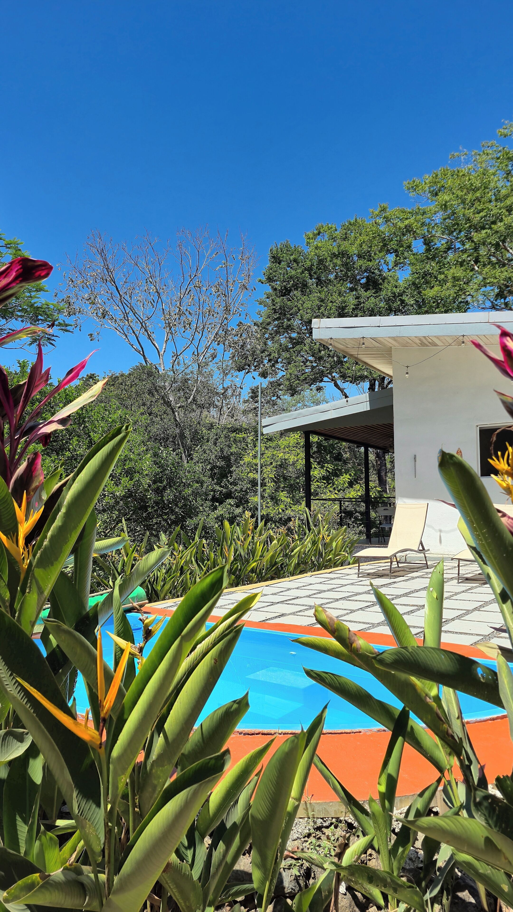 Villa, 1 quarto, acessível, piscina privativa | Jardim