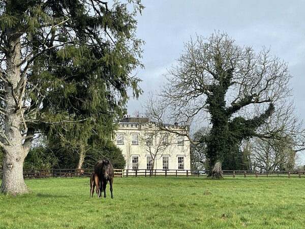 Lismacue House - Tipperary
