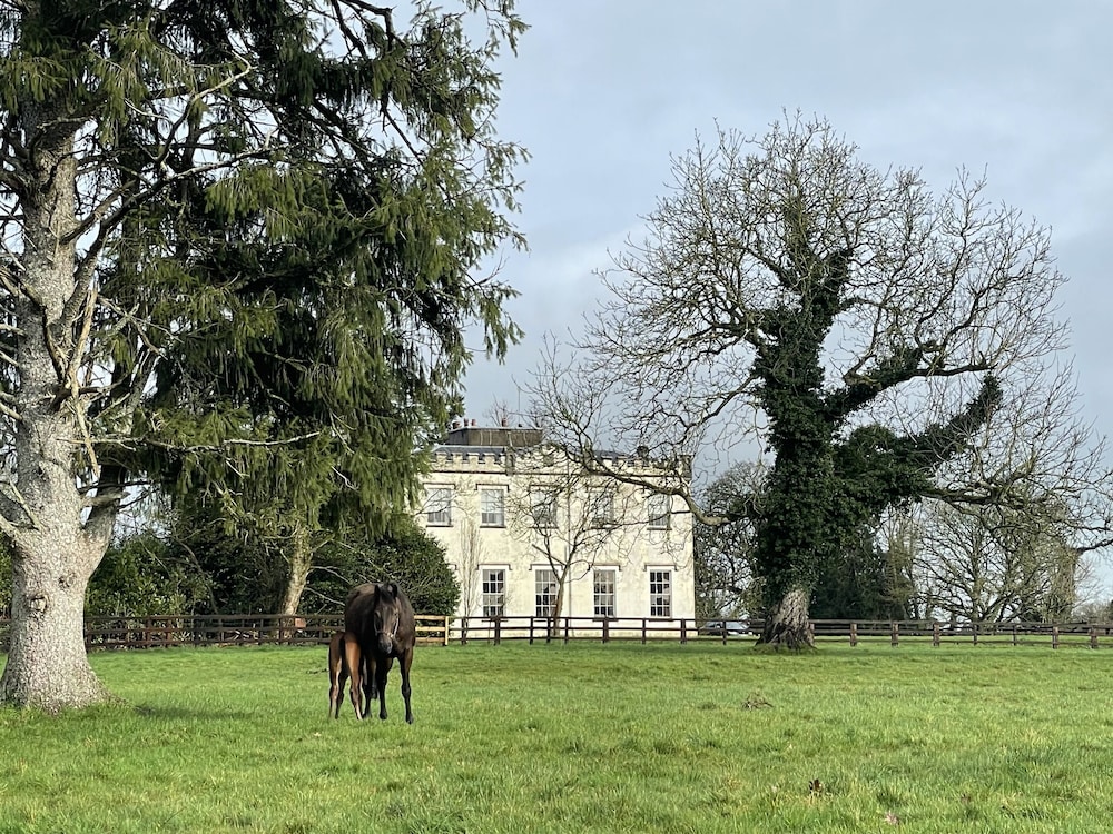 Lismacue House - County Clare