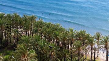 Apartamento | Vista do alojamento