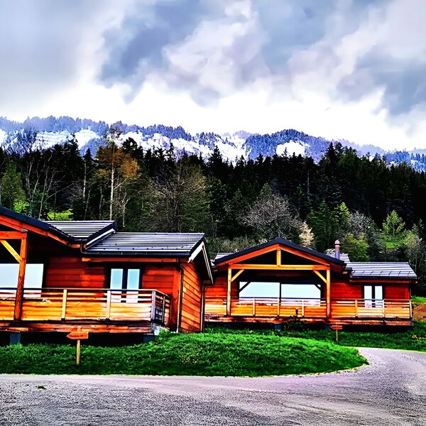 Les Chalets D'anzère - Anzère