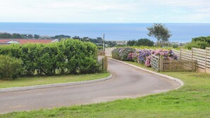 Uma estrada sinuosa que leva a uma área costeira, com cerca de madeira e plantas floridas.