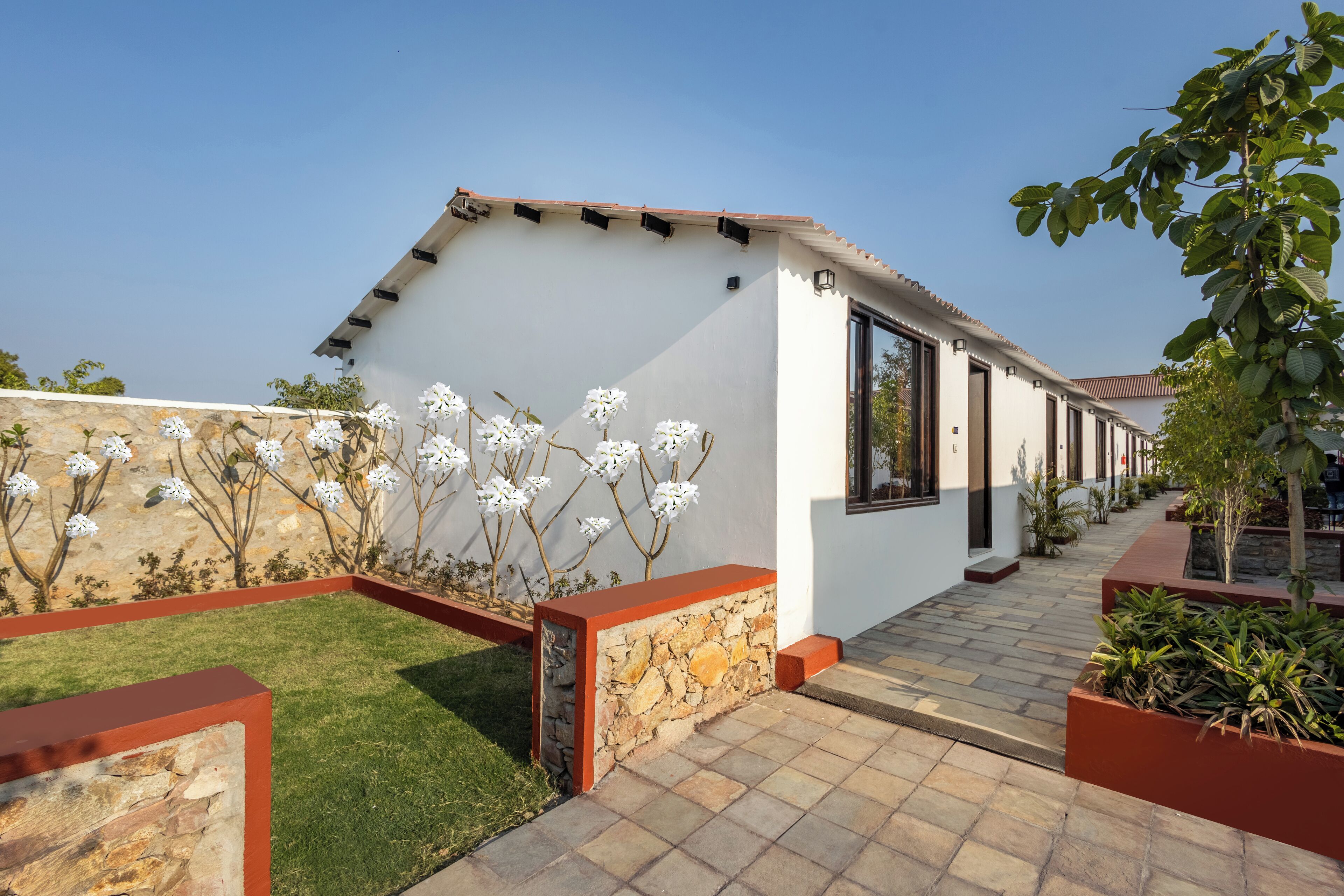 Uma casa moderna com parede de pedra, flores brancas e um caminho pavimentado.