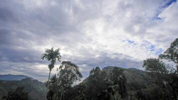 Paisagem com montanha, árvores e céu nublado.