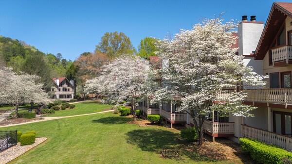Loreley Resort - Blue Ridge Mountains