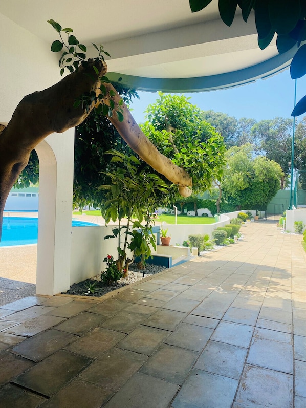 Apartamento | 1 quarto