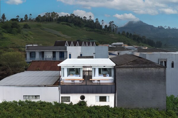 Fortune Cube - Dieng