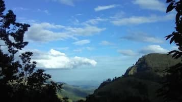 Vista aérea