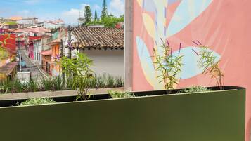 Terraço/pátio interior