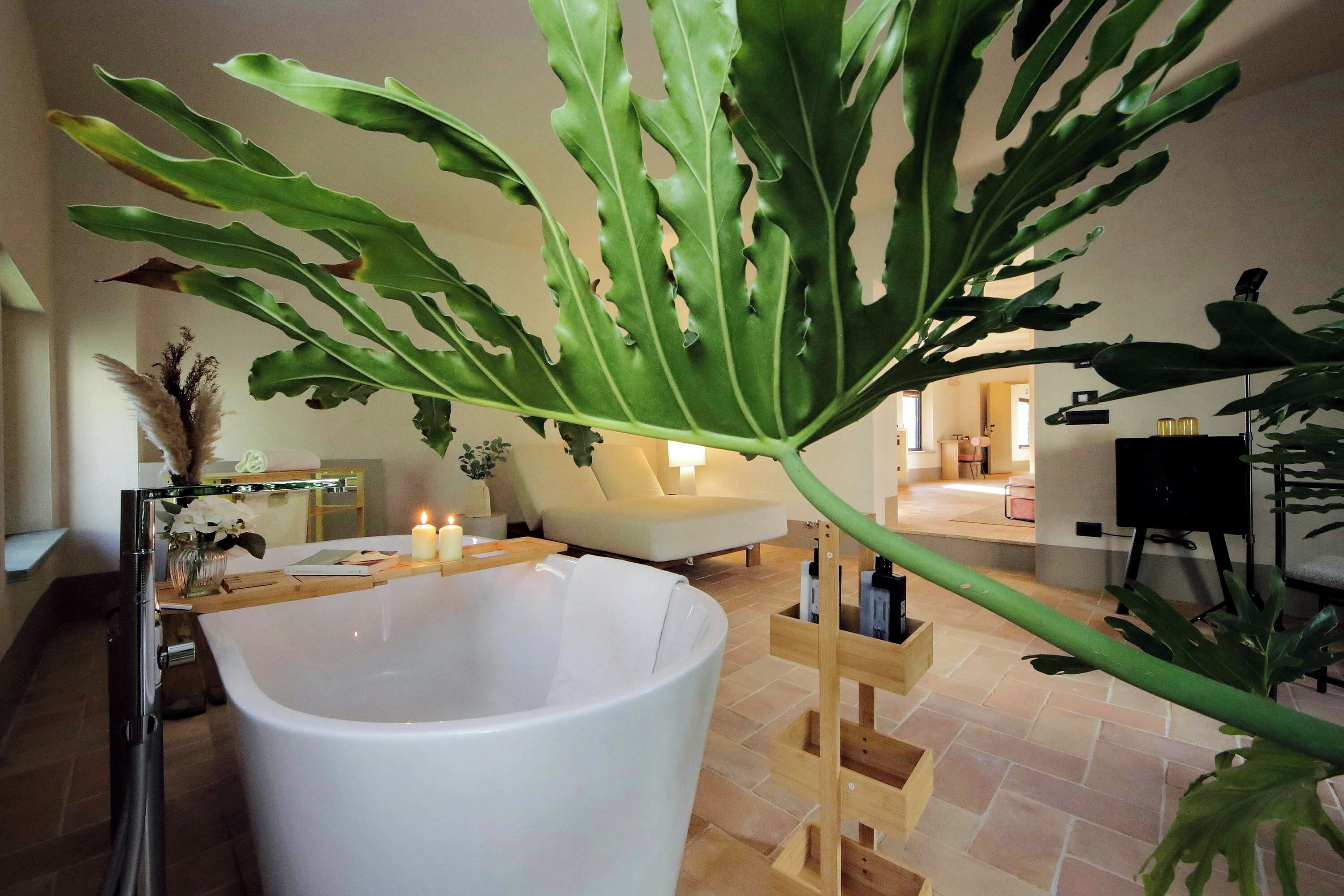 Suite | Edredões de penas, camas de colchão pillowtop 