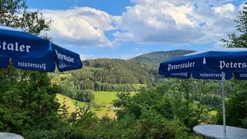 Dois guarda-chuvas azuis com a inscrição 'Peterstaler', mostrando vista de um vale verde e colinas arborizadas ao fundo.