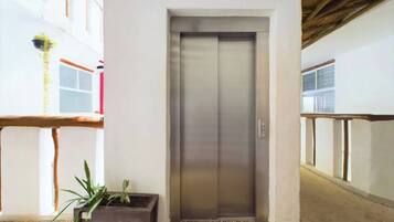 Apartamento, 2 quartos, pátio | Interior