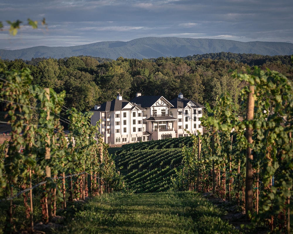 Nicewonder Farm & Vineyard - Bristol, TN